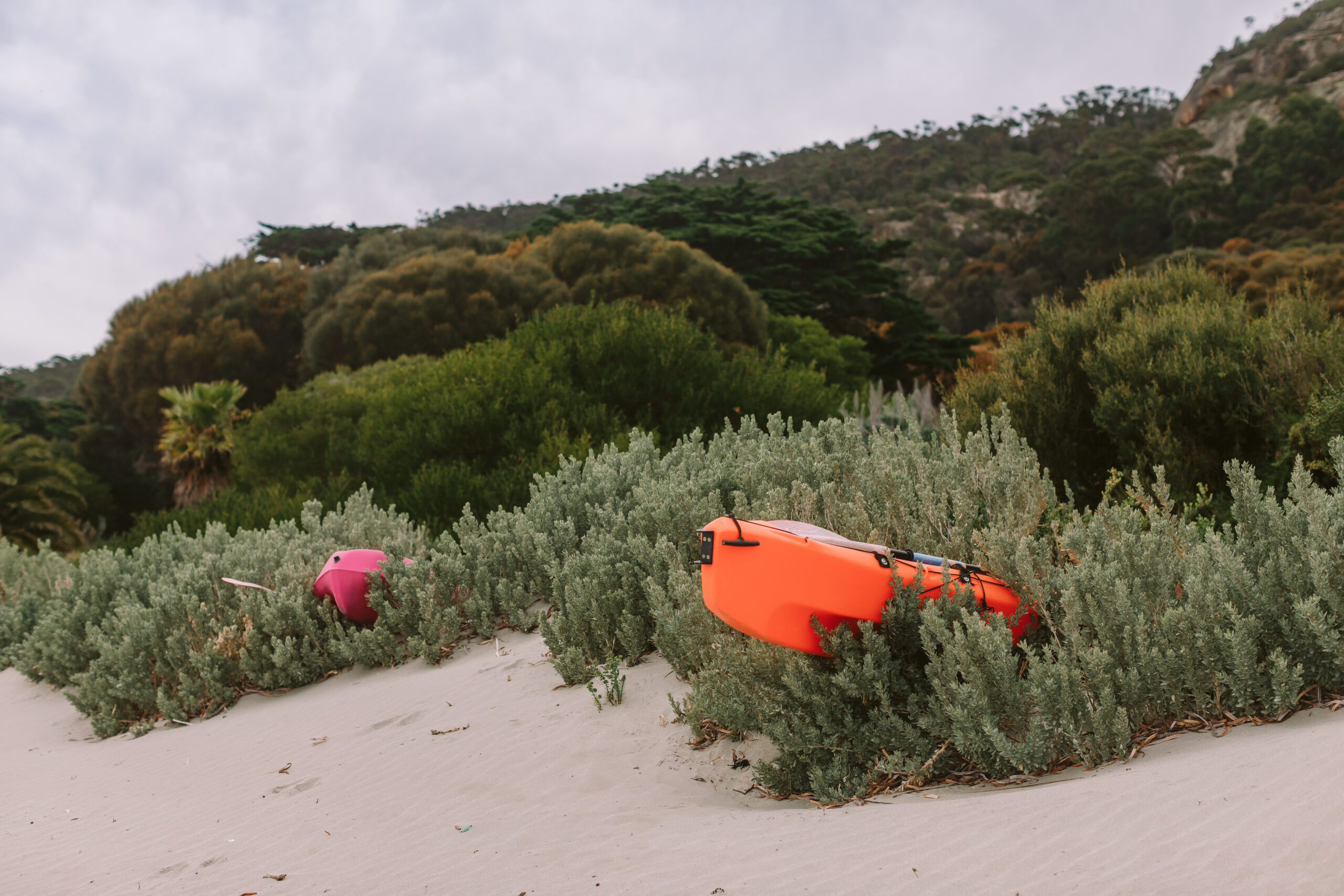 Explore - Visit Flinders Island